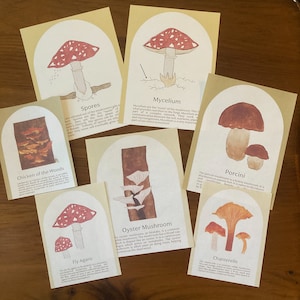 Mushroom Unit Study Bundle Watercolor Nature Education - Etsy
