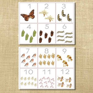 Number Practice - Counting and Tracing Numbers - Activities for ...