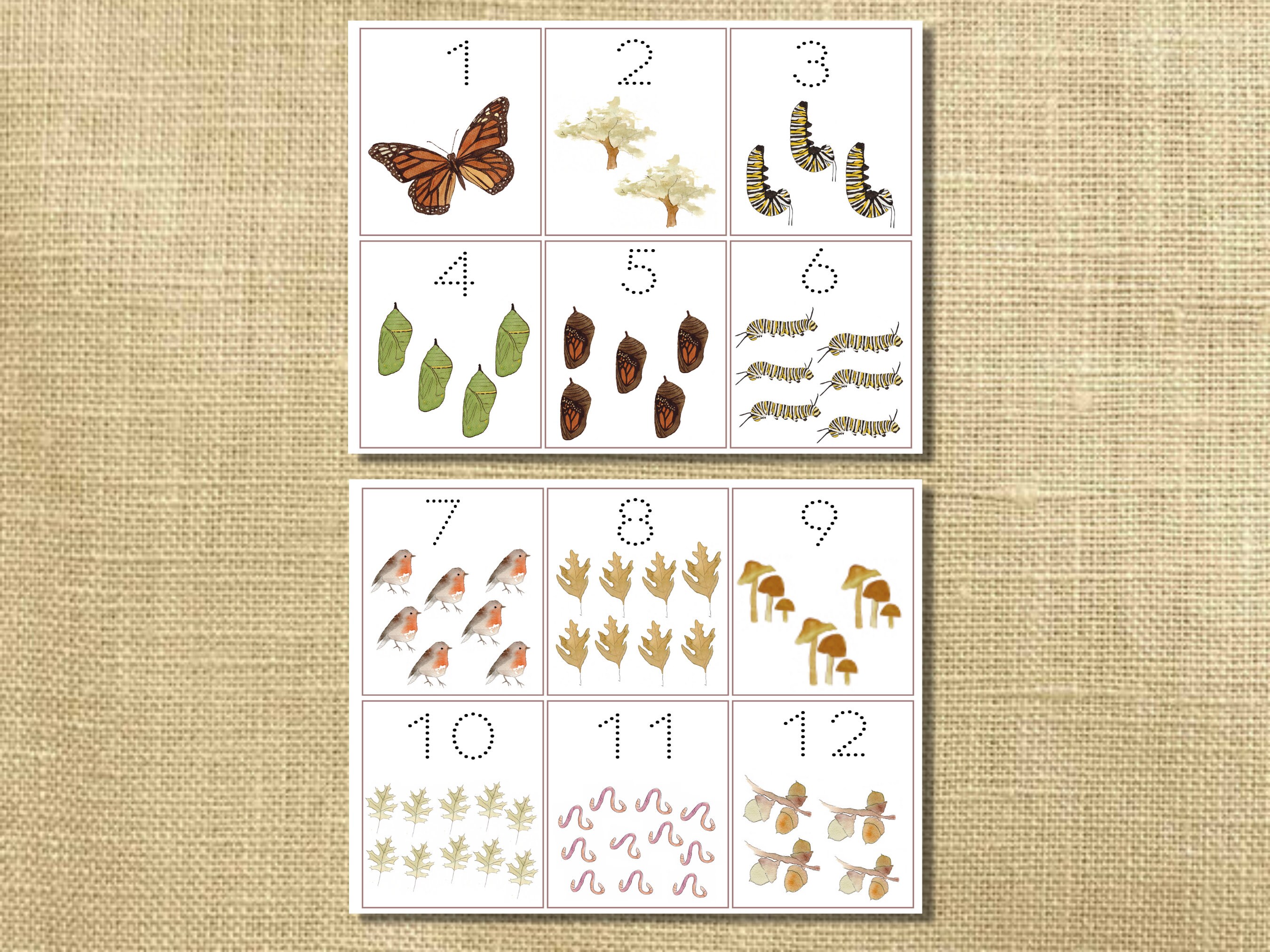 Number Practice - Counting and Tracing Numbers - Activities for ...