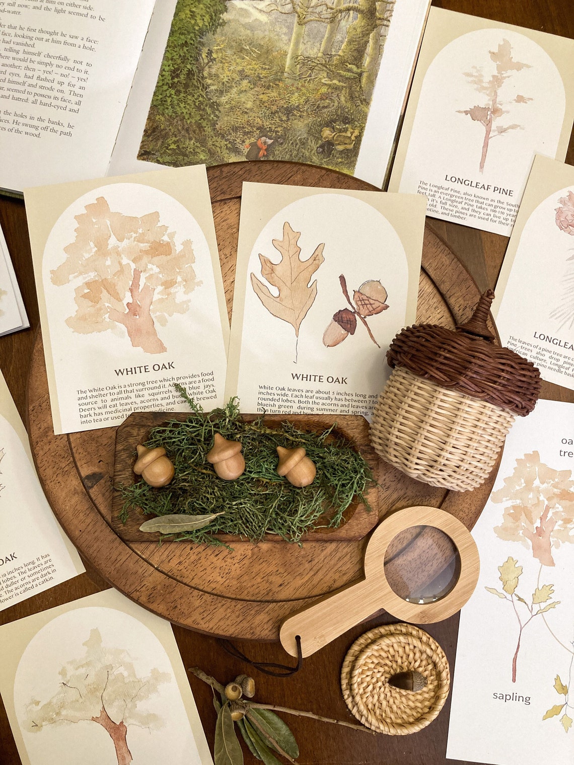 Tree Unit Study Bundle Nature Education Printable Tree - Etsy