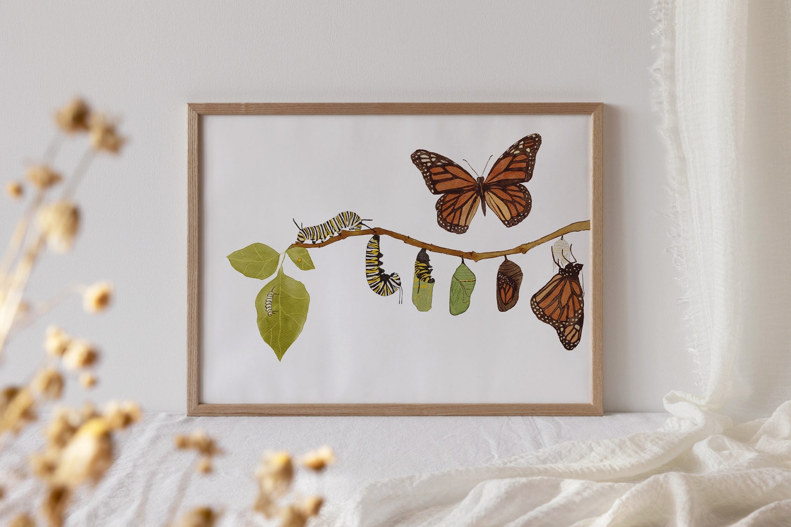 Monarch Butterfly Life Cycle Unit Study Nature Homeschool - Etsy