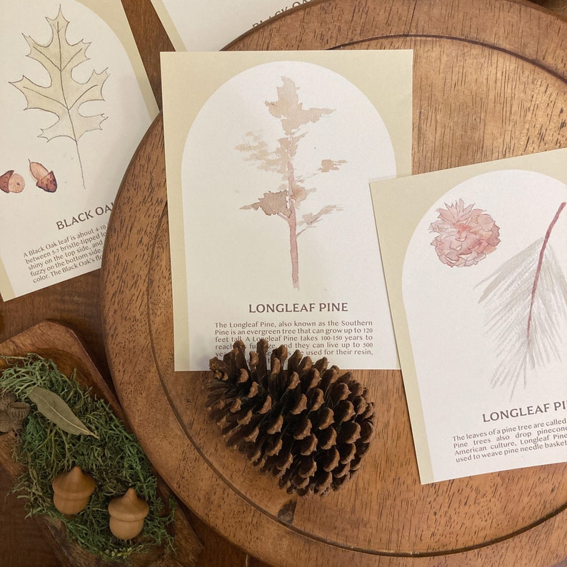 Tree Unit Study Bundle - Nature Education Printable - Tree Leaf ...