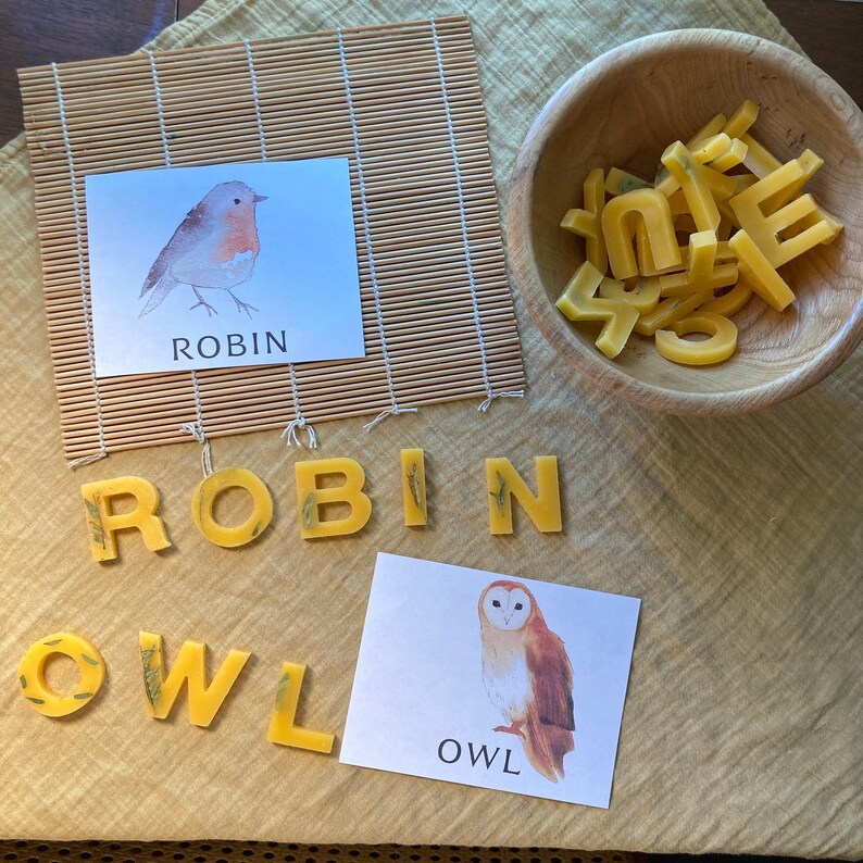 Nature Spelling Flash Cards - Preschool Educational Resources ...