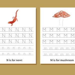 Letter Tracing Worksheets - Nature Alphabet Illustrations - Preschool ...