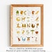 Waldorf Alphabet Poster Alphabet Forest Curriculum Waldorf Illustrated ...