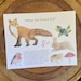 Fox Unit Study Bundle Nature Education Printables Watercolor Animal ...