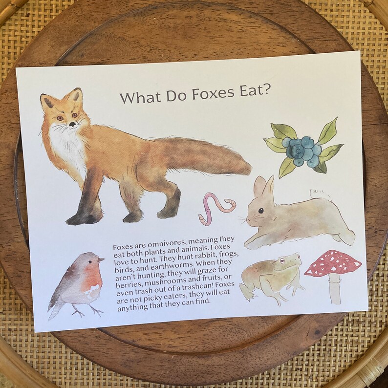 Fox Unit Study Bundle - Nature Education Printables - Watercolor Animal ...
