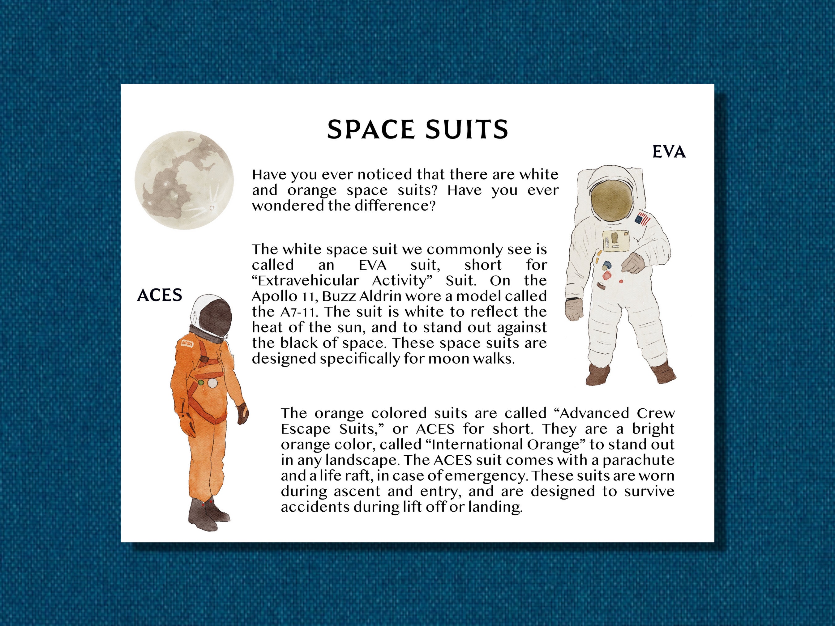 Moon Landing Unit Study - Space Shuttles, Space Suits - Elementary ...