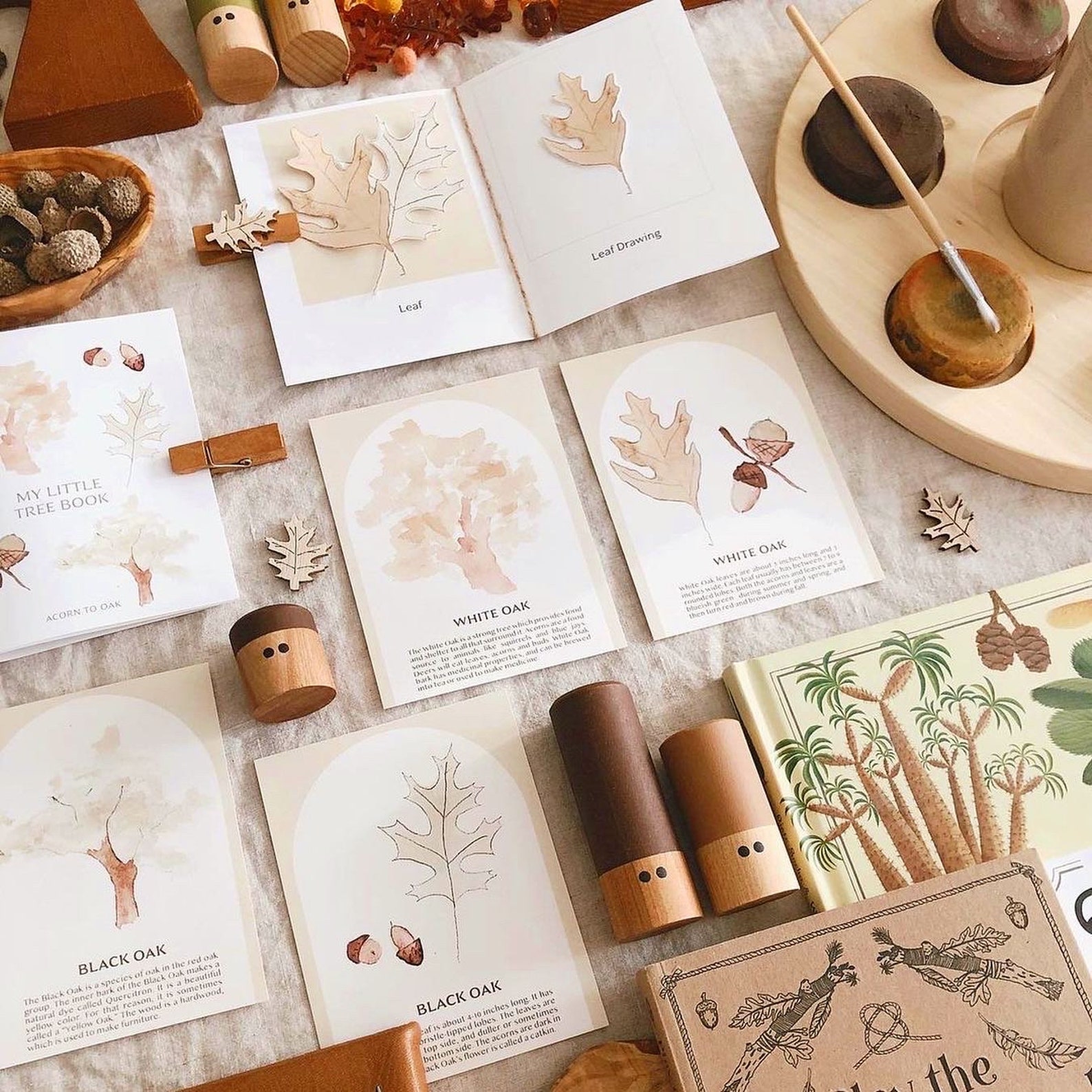 Tree Unit Study Bundle Nature Education Printable Tree - Etsy