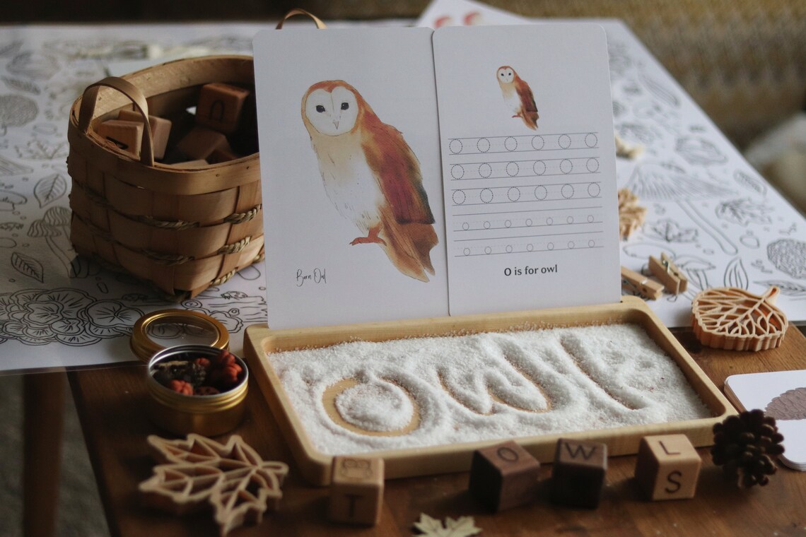 Barn Owl Study - Nature Homeschool Curriculum - Printable Nature Unit ...