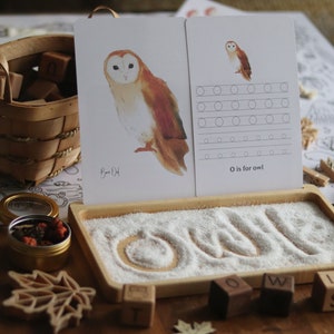 Barn Owl Study - Nature Homeschool Curriculum - Printable Nature Unit ...