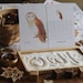 Barn Owl Study - Nature Homeschool Curriculum - Printable Nature Unit ...