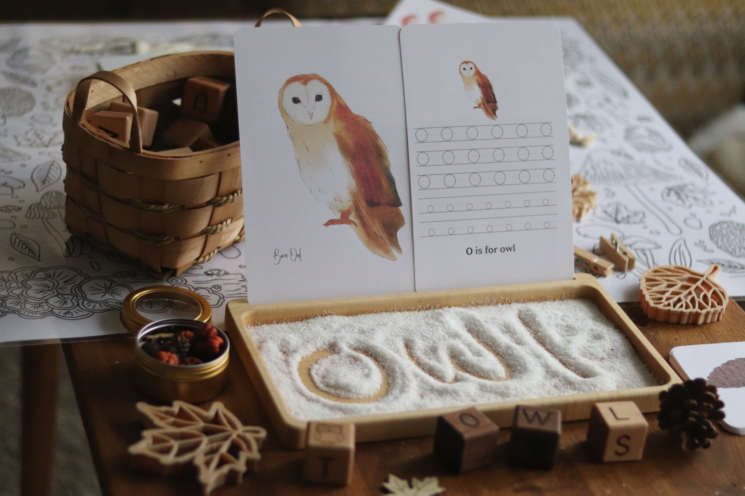 Barn Owl Study Nature Homeschool Curriculum Printable Nature Unit Study ...