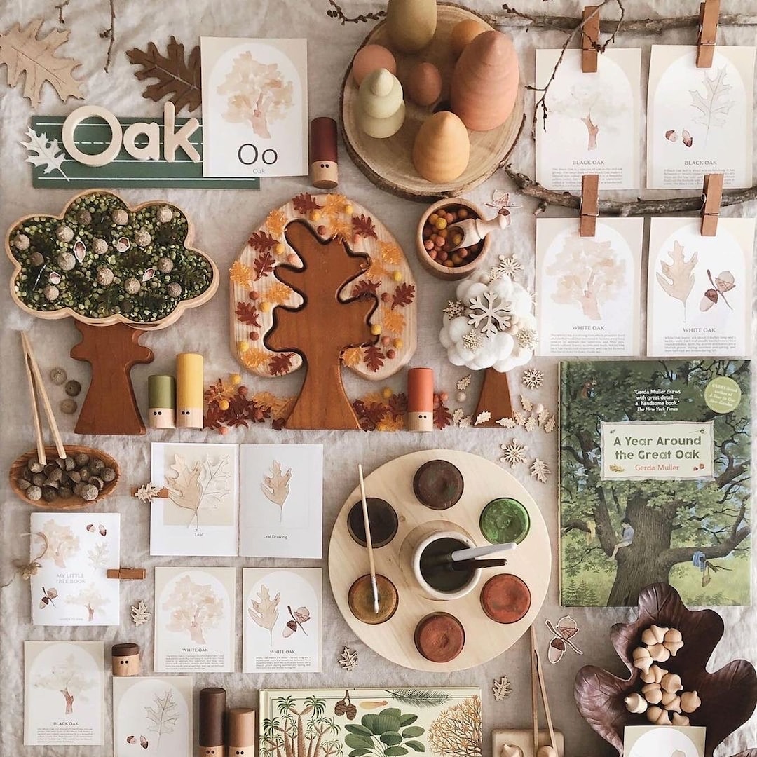 Tree Unit Study Bundle - Nature Education Printable - Tree Leaf ...