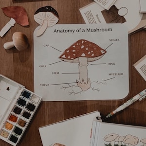Mushroom Unit Study Bundle - Watercolor Nature Education Printables - Etsy