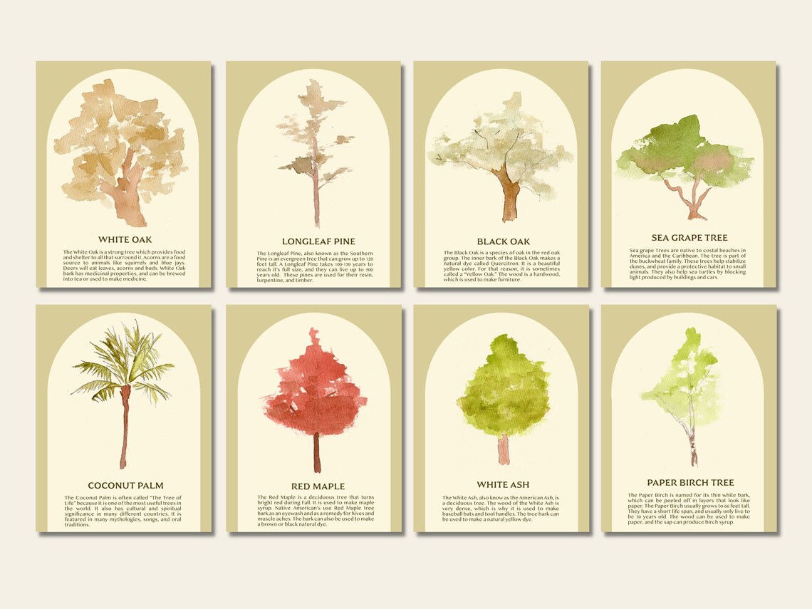 Tree Identification Flash Cards I Tree Study Flash Cards I - Etsy