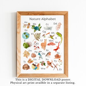 Nature ABC Poster - Nature Alphabet Preschool Printable Poster ...
