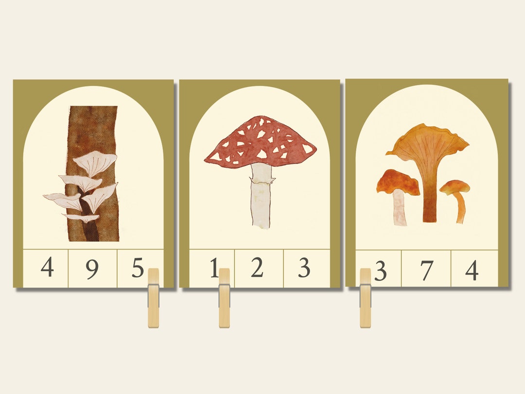 Mushroom Clip Number Cards - Mushroom Unit Study - Preschool Number ...