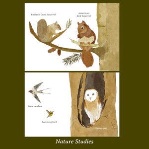 Kinder Forest - Nature Based Kindergarten & First Grade Curriculum ...