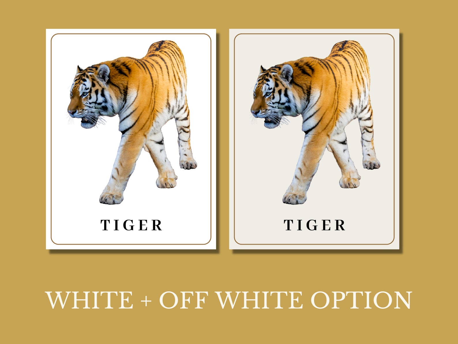 Zoo Animal Flash Cards - Zoology - Printable Homeschool - Zoo Field ...