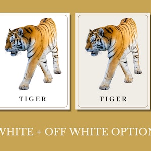Zoo Animal Flash Cards - Zoology - Printable Homeschool - Zoo Field ...
