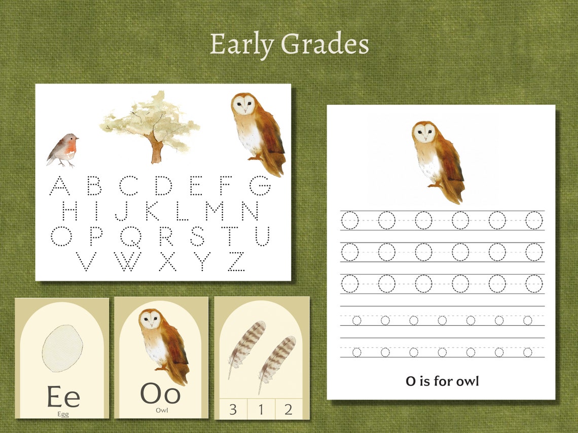 Barn Owl Study Nature Homeschool Curriculum Printable Nature Unit Study ...