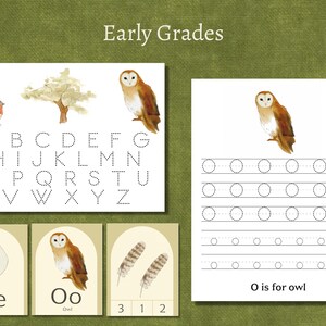 Barn Owl Study - Nature Homeschool Curriculum - Printable Nature Unit ...