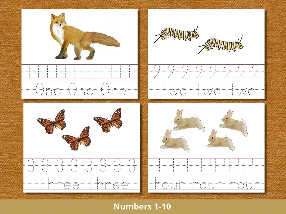 Number Tracing Worksheets Nature Preschool Curriculum - Etsy