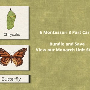 Monarch Butterfly - Montessori 3 Part Cards - Butterfly Life Cycle - Etsy