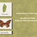 Monarch Butterfly - Montessori 3 Part Cards - Butterfly Life Cycle - Etsy