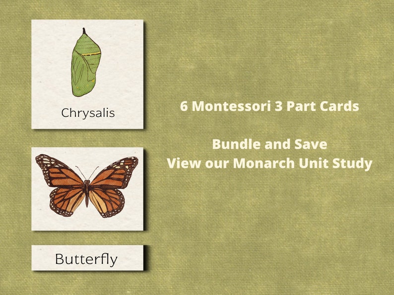 Monarch Butterfly - Montessori 3 Part Cards - Butterfly Life Cycle - Etsy