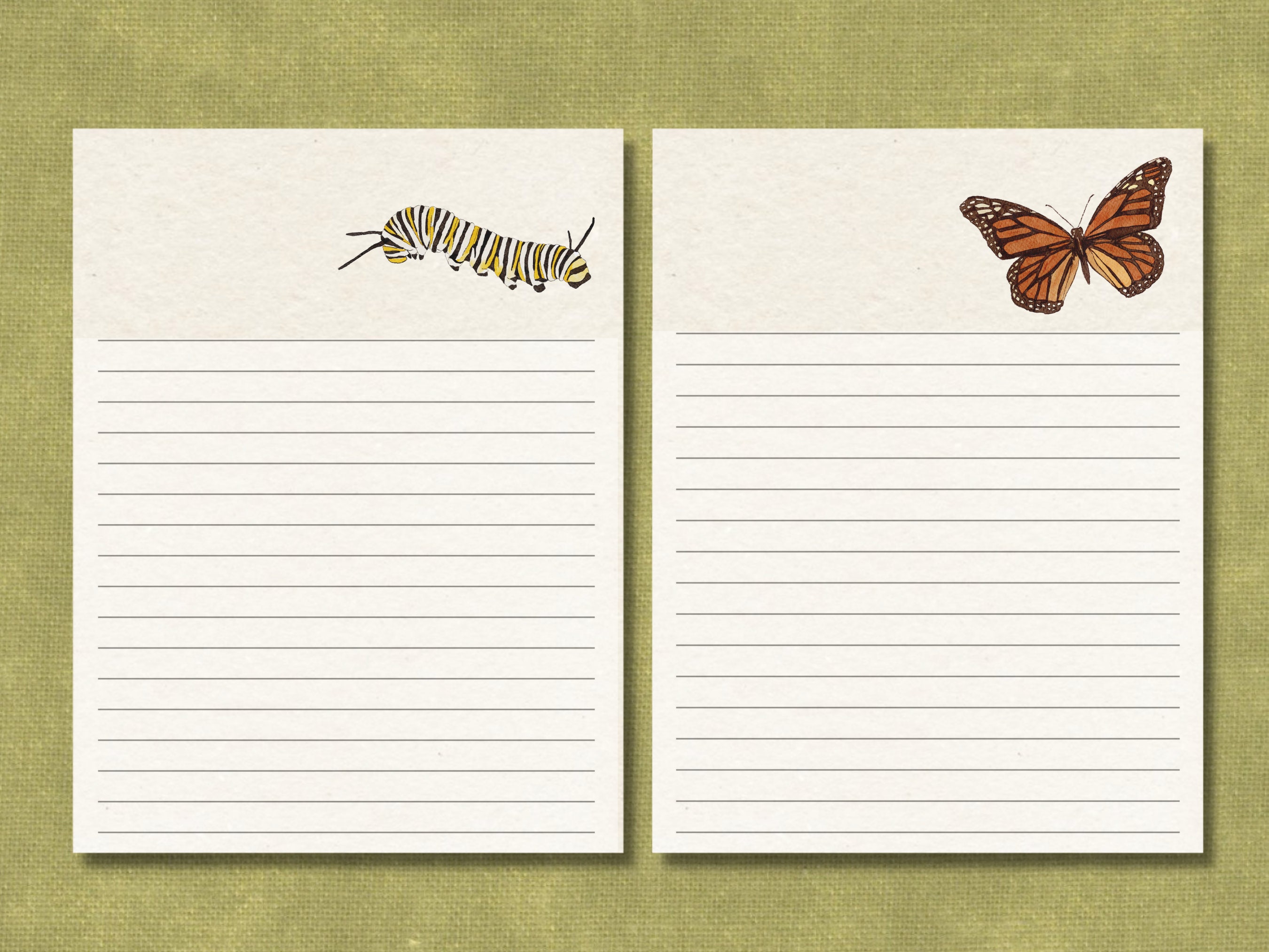 Butterfly Life Cycle Journal Pages - Blank Stationary Printables ...