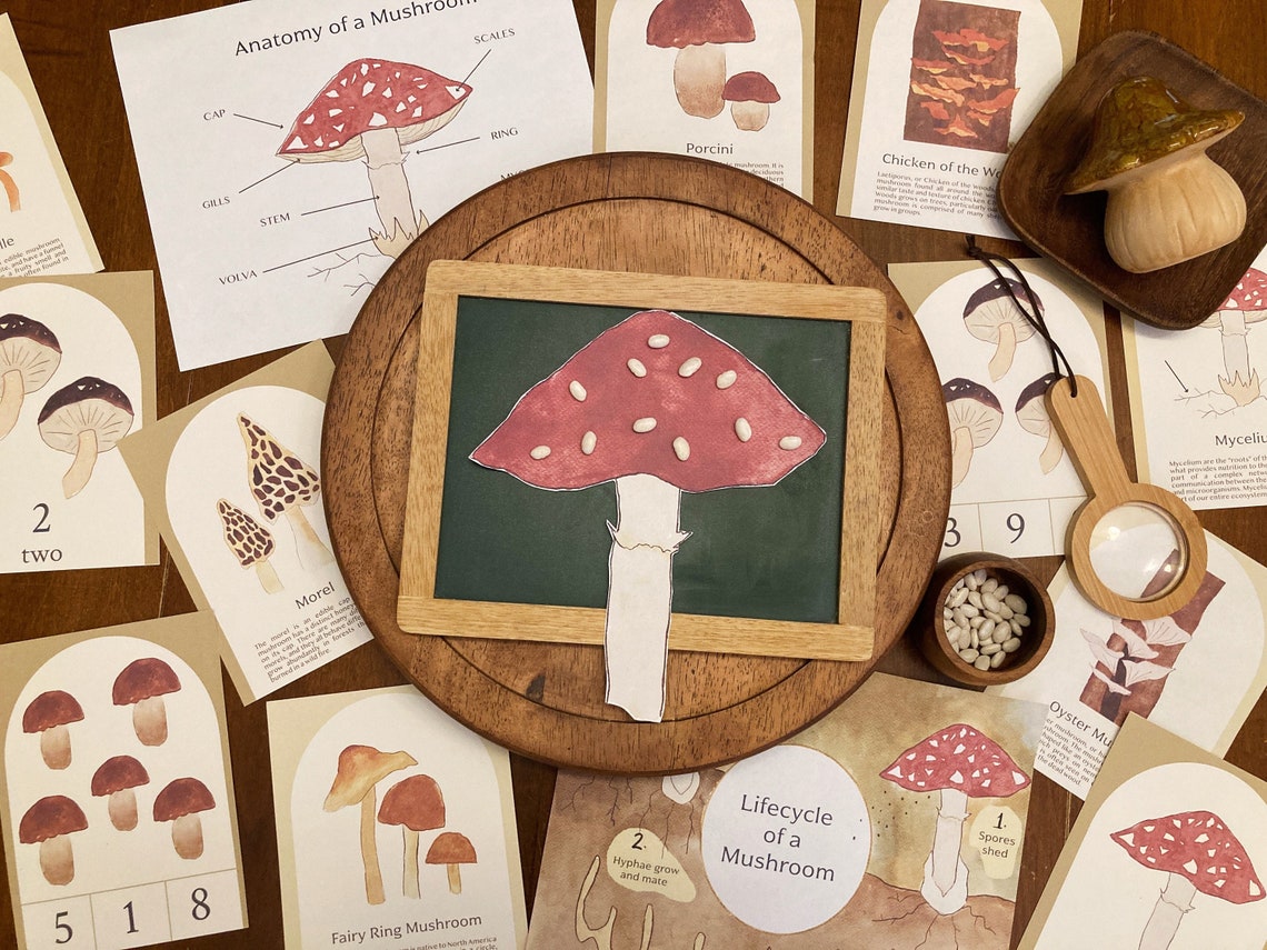 Mushroom Unit Study Bundle Watercolor Nature Education - Etsy