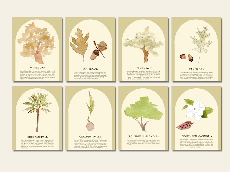 Tree Identification Flash Cards I Tree Study Flash Cards I - Etsy