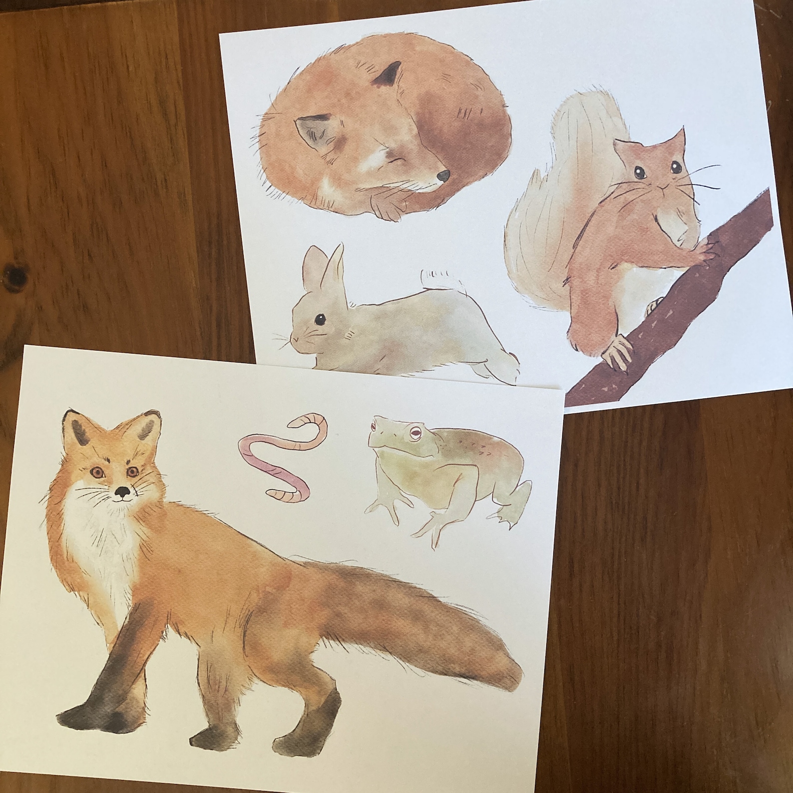 Fox Unit Study Bundle - Nature Education Printables - Watercolor Animal ...