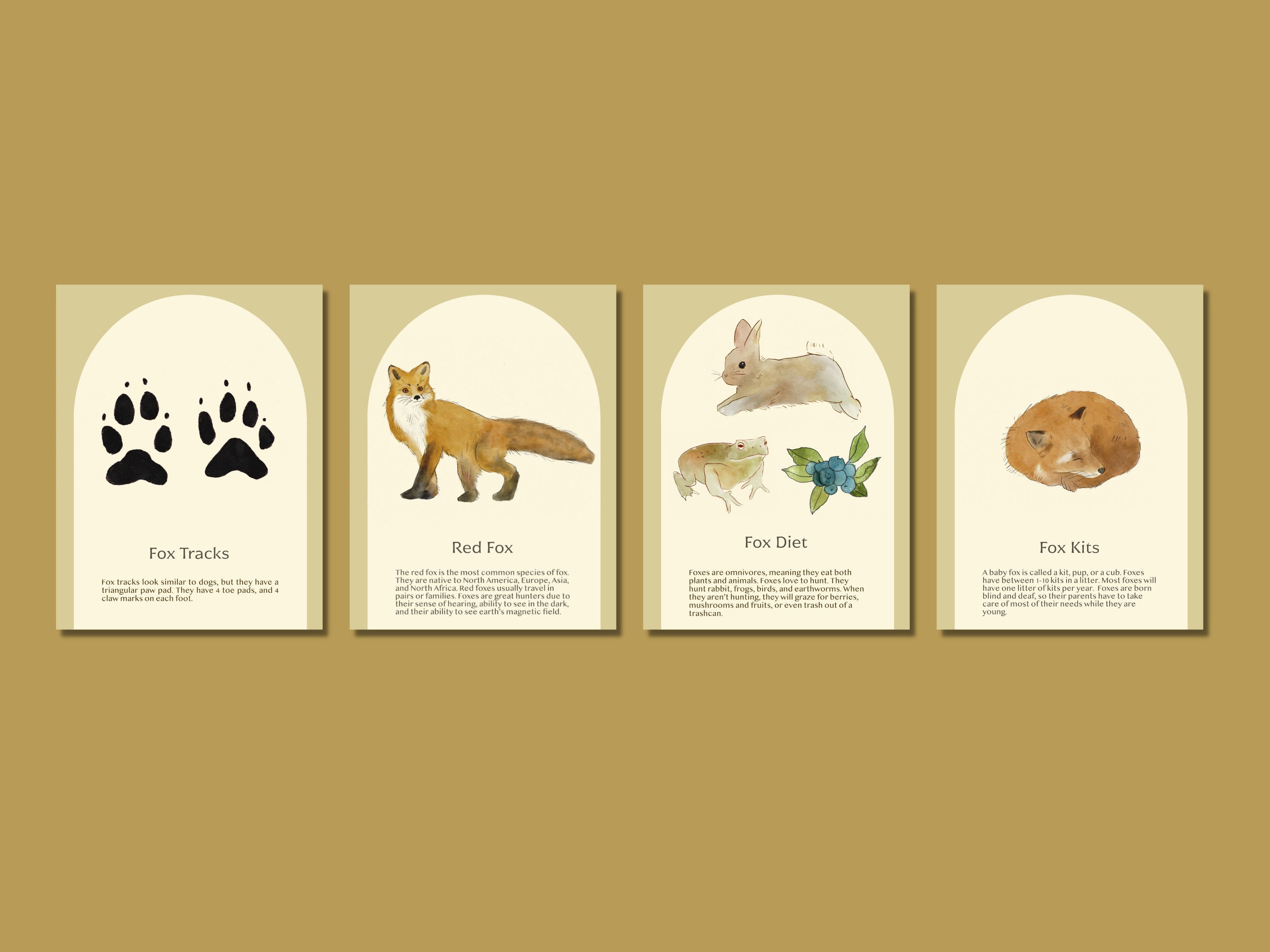 Fox Flash Cards - Fox Unit Study - Nature Education Printables ...