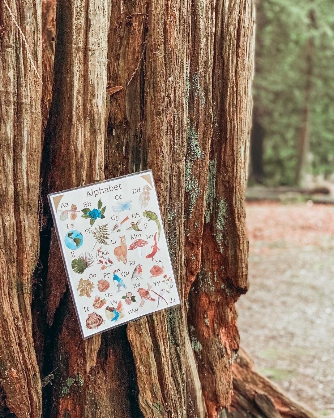 Nature Alphabet Mini Poster I Nature Study Printable Poster I ABC ...