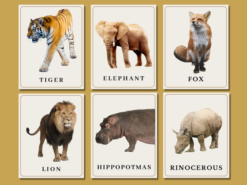 Zoo Animal Flash Cards Zoology Printable Homeschool Zoo - Etsy