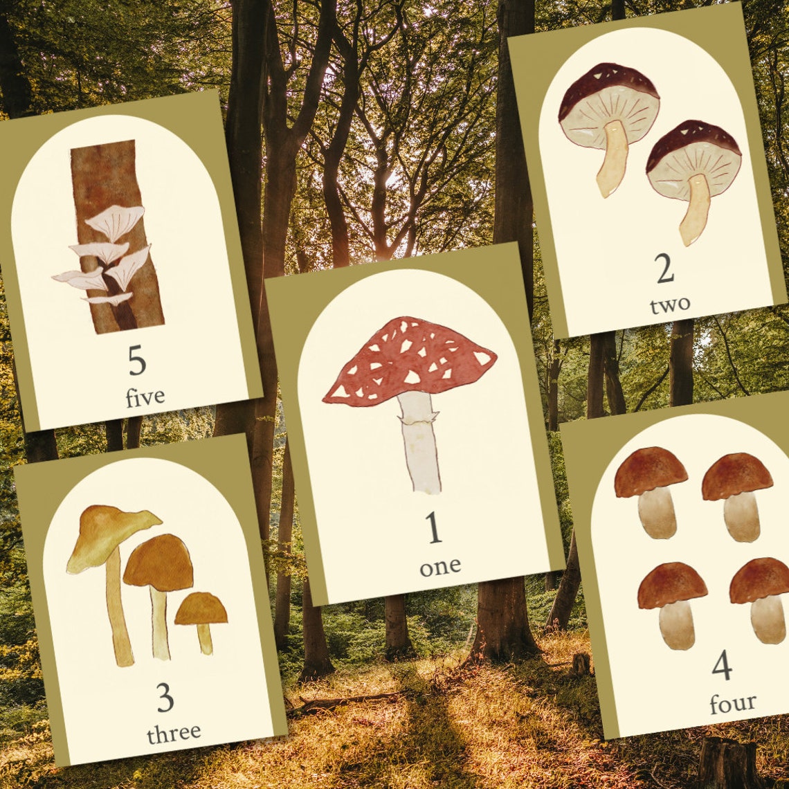 Mushroom Number Cards - Mushroom Unit Study - Nature Preschool ...
