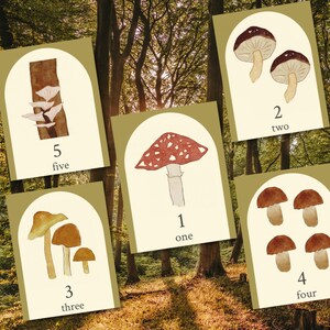 Mushroom Number Cards - Mushroom Unit Study - Nature Preschool ...