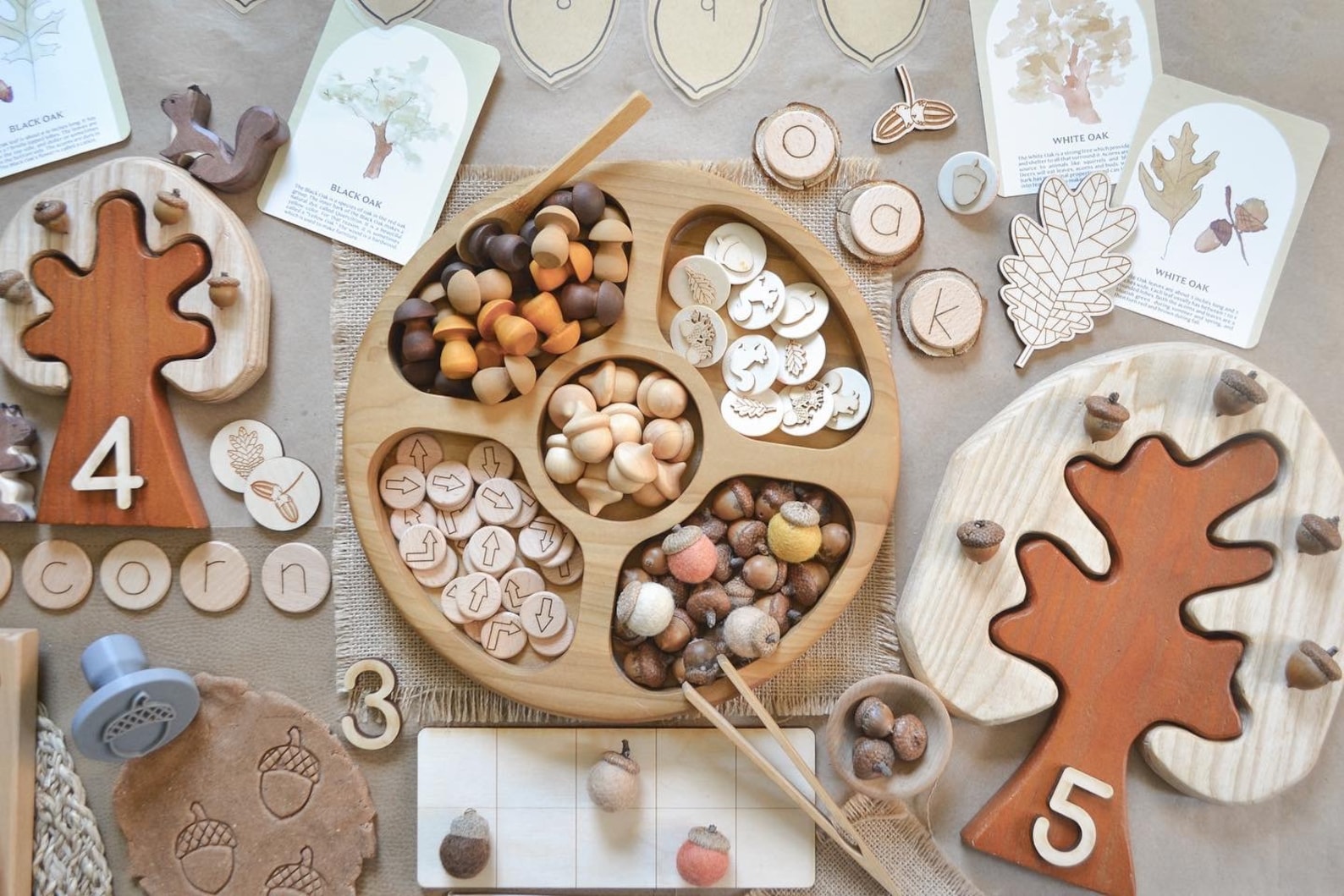 Tree Identification Flash Cards I Tree Study Flash Cards I - Etsy