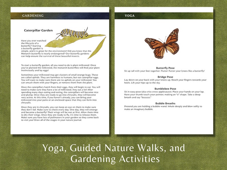 Alphabet Forest: Nature Based Early Learning Reading and - Etsy