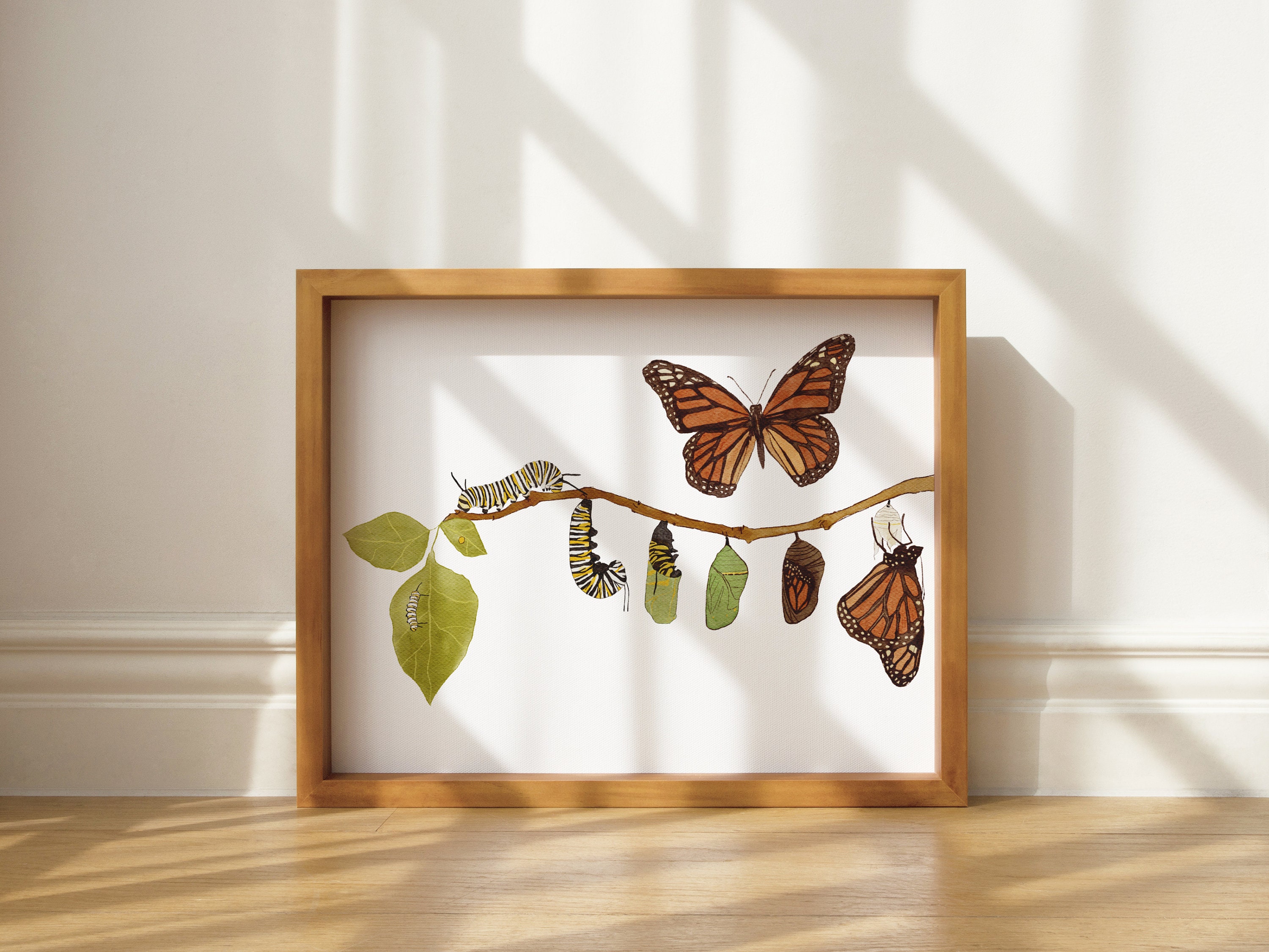 Monarch Butterfly Life Cycle Poster - Nature Watercolor Wall Art - Etsy ...