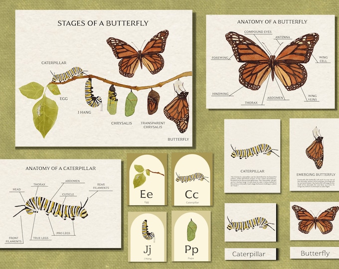 Monarch Butterfly Life Cycle Unit Study Nature Homeschool Curriculum ...