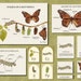 Anatomy of a Butterfly - Monarch Butterfly Study - Printable Nature ...