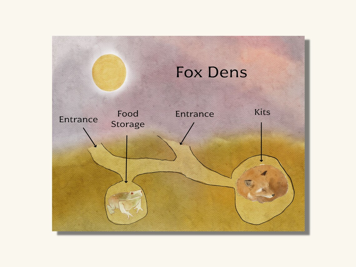 Fox Dens - Fox Unit Study - Watercolor Nature Education Printable ...