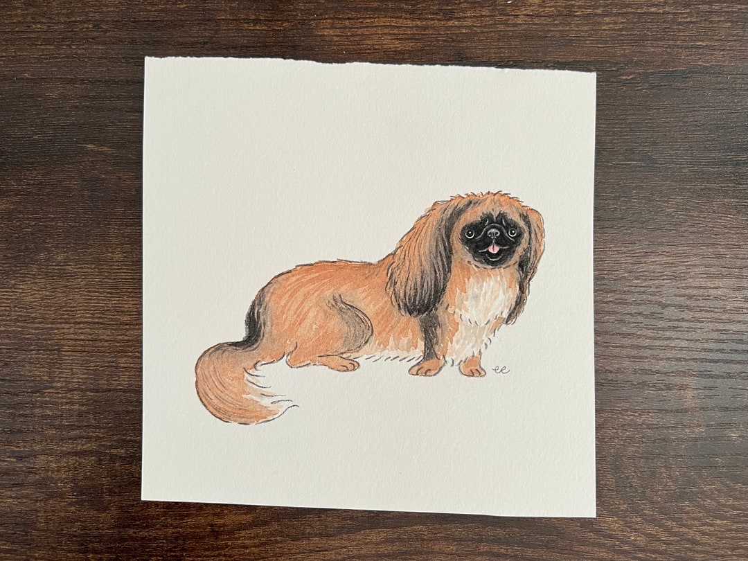 Pekingese Original Watercolor Painting - Etsy