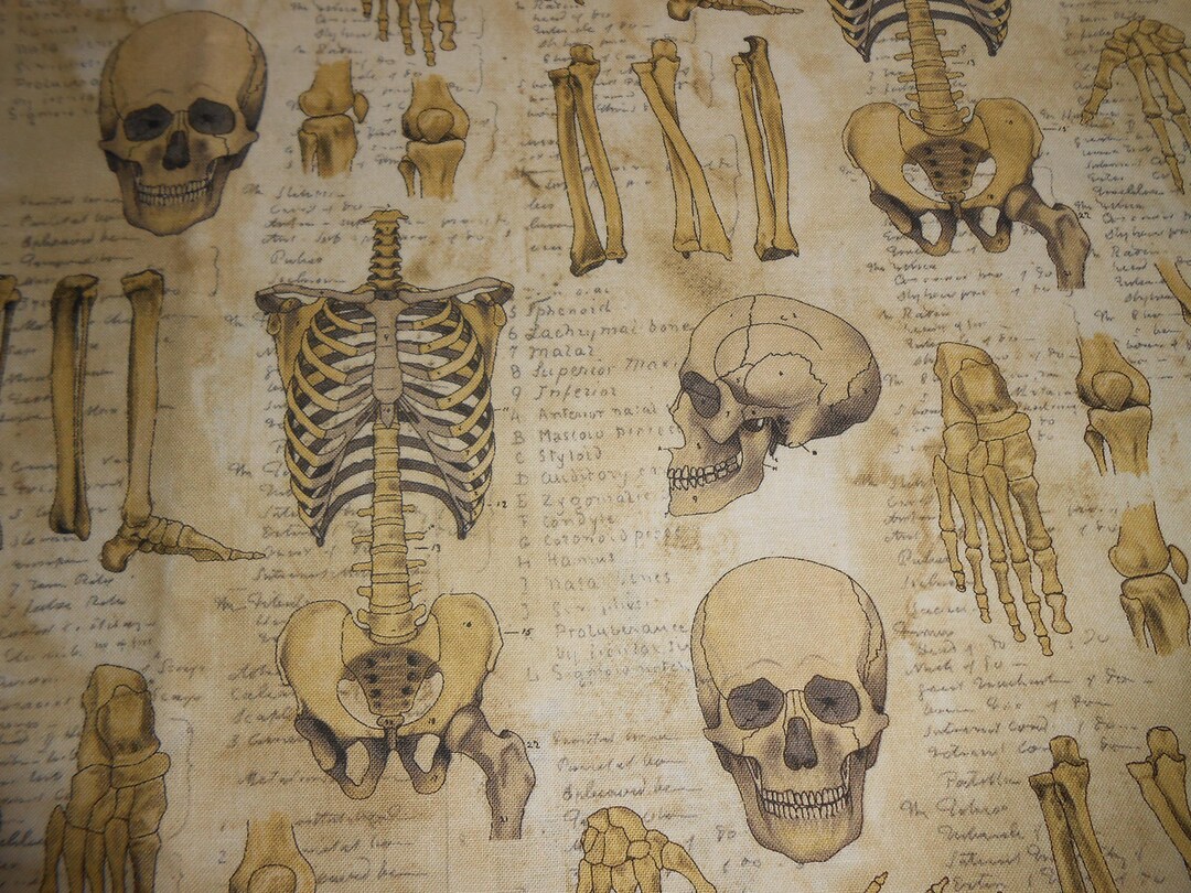 Remnant 95 Cm Halloween Gothic Skeleton Laboratory Electic Elements ...