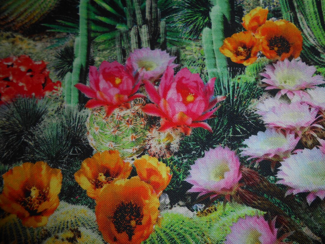 Cactus Cacti "go West" Timeless Cotton Patchwork Fabric 50 X 110 Cm - Etsy
