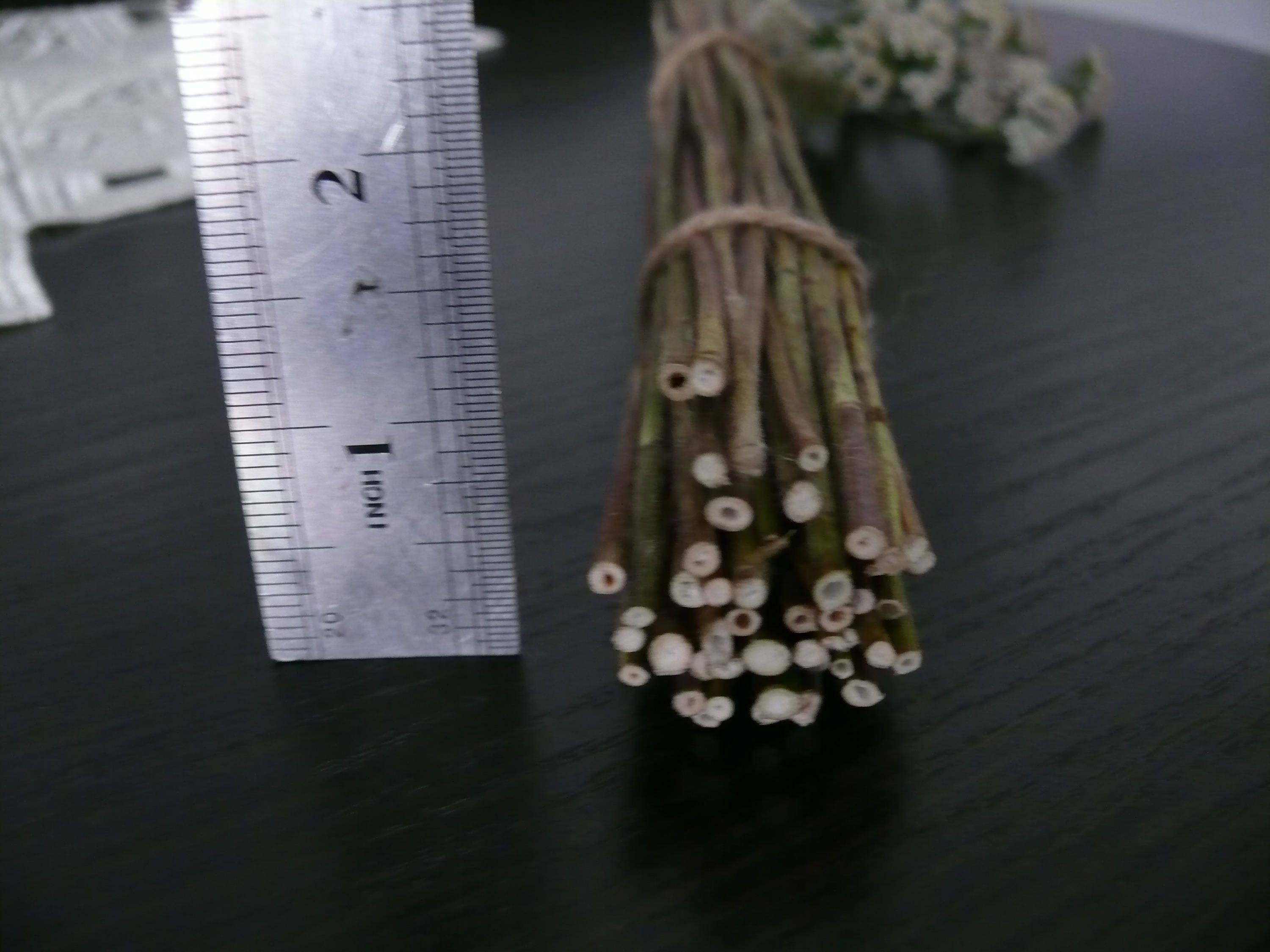 Yarrow Stalks I Ching Dried Yarrow Yarrow Sticks. | Etsy